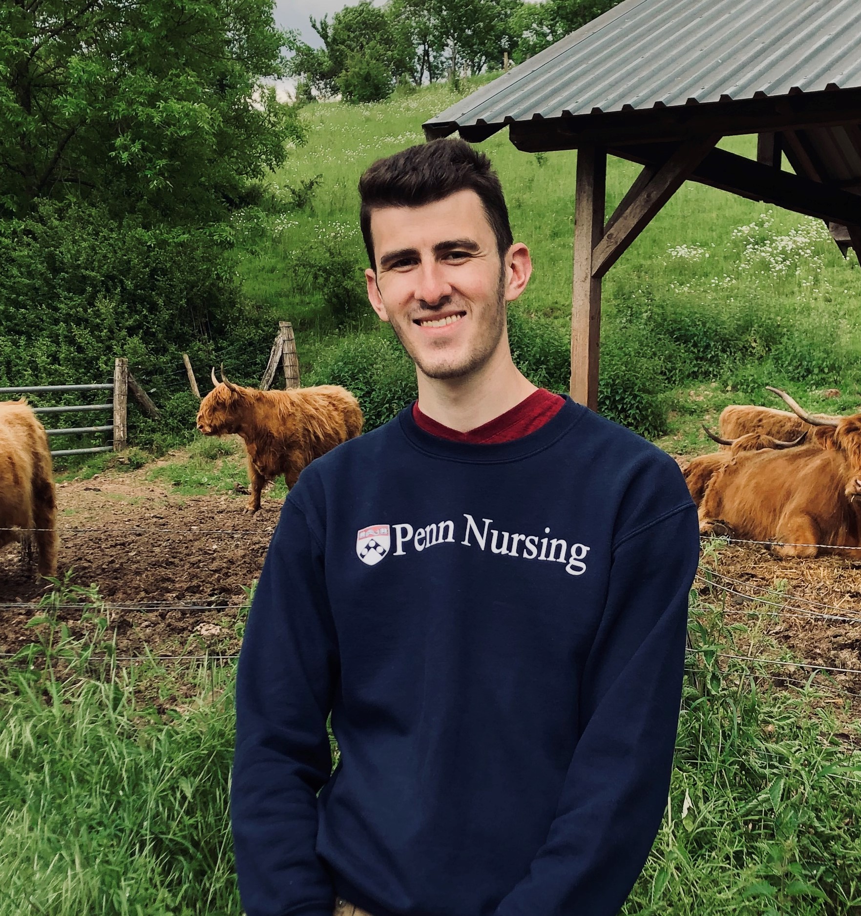 Vincent - Undergraduate Named Scholarships at the University of ...