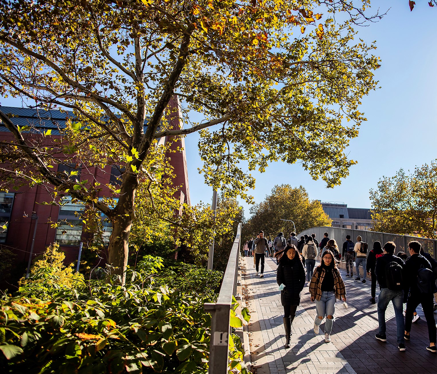 Home - Undergraduate Named Scholarships at the University of Pennsylvania